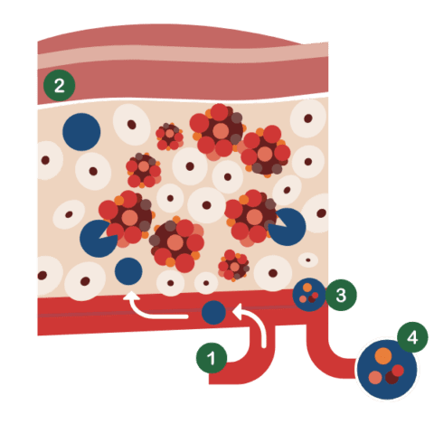 PanTum Detect: Revolutionising Cancer Detection at RMDM